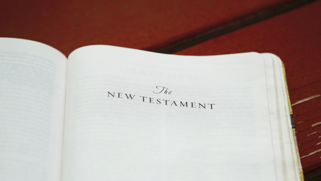 New Testament Bible study guide