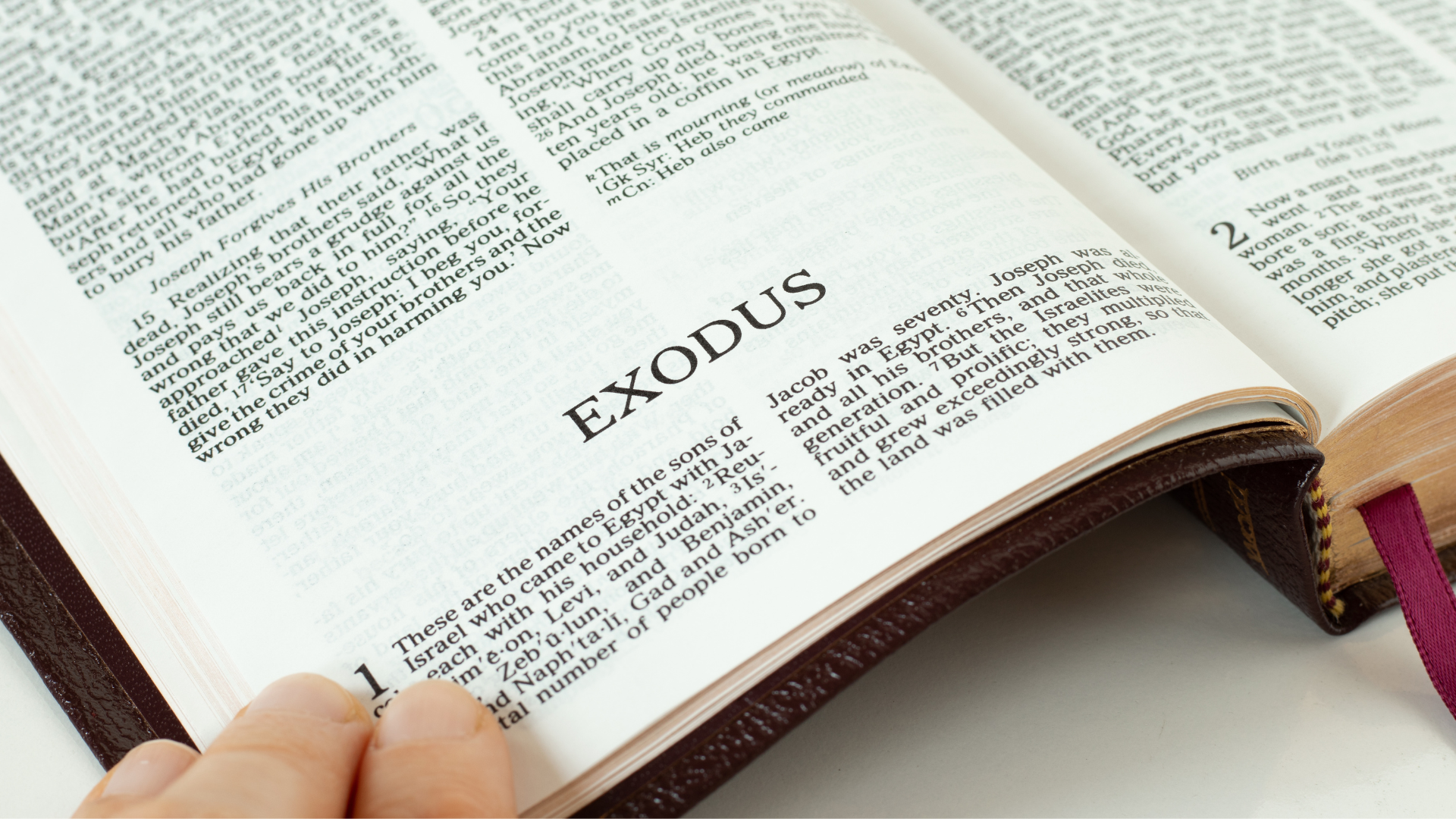Exodus Bible study guide
