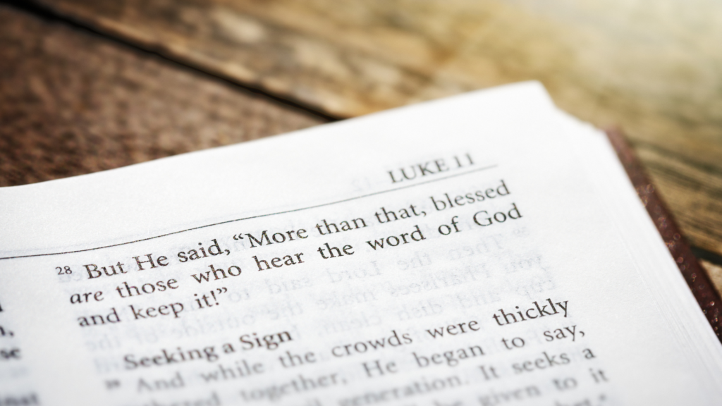 Luke Bible study guide