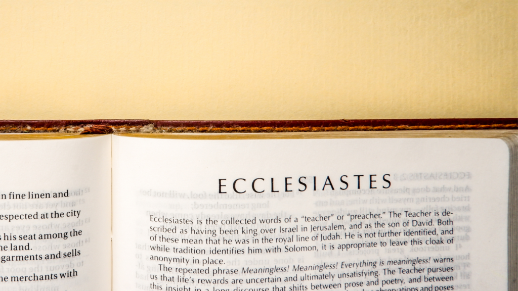 Ecclesiastes Bible study guide