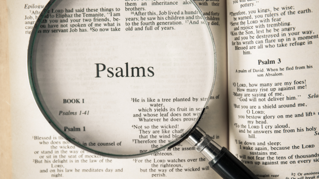 Psalms Bible study guide